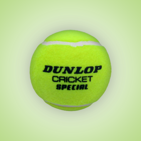 Dunlop Tennis Ball (3 pcs) | Swing